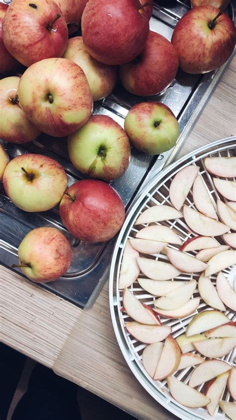 Сушёные яблоки Что сделать с яблоками Food Fruit Apple
