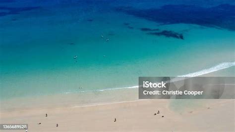 서핑과 패들 보딩을 수영하는 사람들의 맑은 파란색 아쿠아 투르쿠아즈 물 공중 해변 보기 드론 사진 사우스 오스트레일리아 주에 대한 스톡 사진 및 기타 이미지 Istock