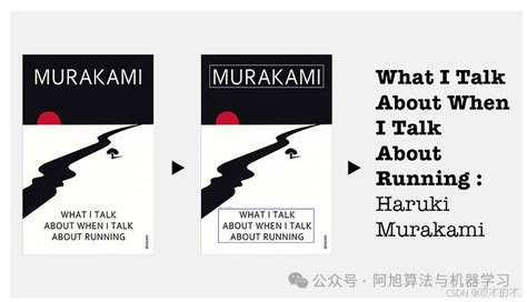 江大白 跨界融合创新，基于yolo11和ollama的增强ocr文本识别 yolov11 ocr csdn博客