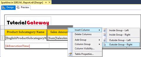 Sparkline In SSRS
