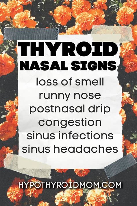 The Thyroid Nose And Sinuses Thyroid Sinusitis Sinus Infection