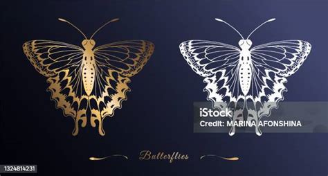 어두운 배경에 라인 아트 스타일로 나비의 골드와 화이트 실루엣 날개의 오픈 워크 드로잉 벡터 그림입니다 여름 스타일 0명에 대한 스톡 벡터 아트 및 기타 이미지 Istock