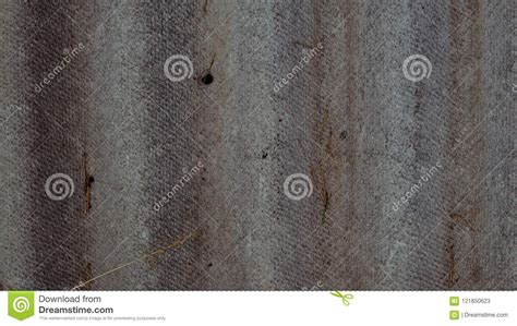 Wood Texture And Background Cut Tree Trunk Background Tree Trunk Close Up Macro View Of Cut