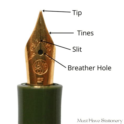 How To Choose A Fountain Pen Nib Must Have Stationery