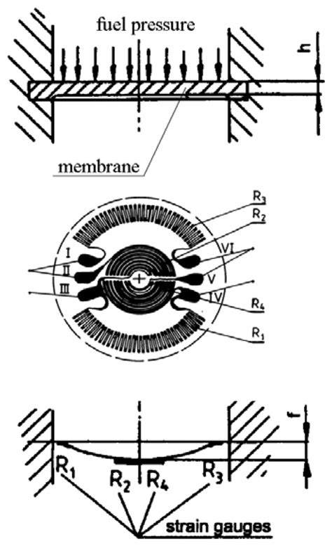 Tension Strain Exerted Upon Membrane And Position Of Strain Gauges Download Scientific Diagram