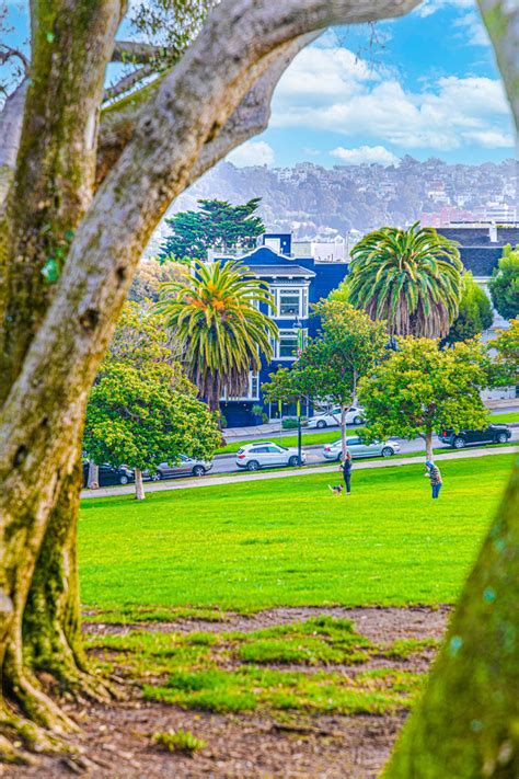 샌프란시스코 첫 여행지 공원과 피크닉 두피디아 여행기