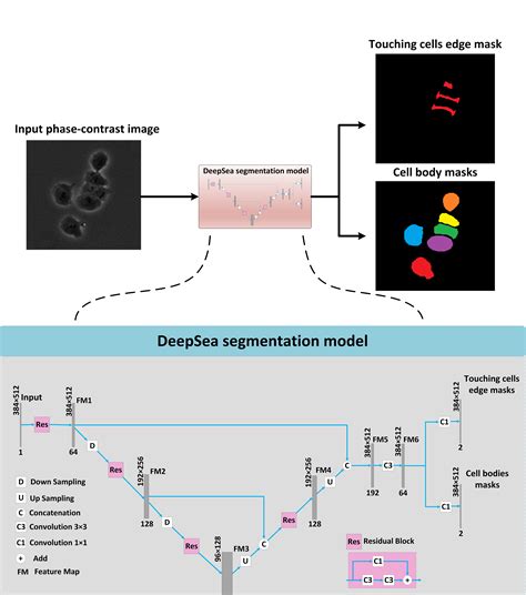 Deepsea Model Deepseas