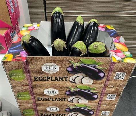 Hp Pagewide C550 Il Futuro Del Corrugated Inizia Da Qui Stampamedia