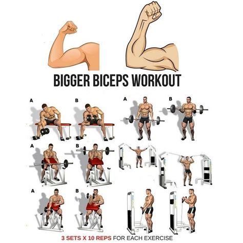 Best Exercises To Build Your Biceps