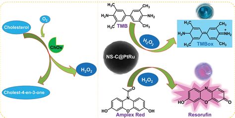 Illustration Of Cholesterol And H2o2 Detection Using Tmb And Ar Substrates Download