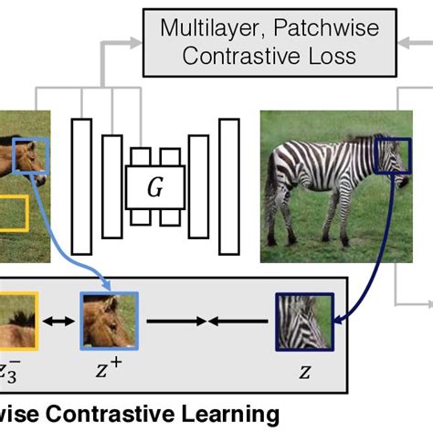 Patchwise Contrastive Loss Both Images X Andˆyandˆ Andˆy Are Encoded