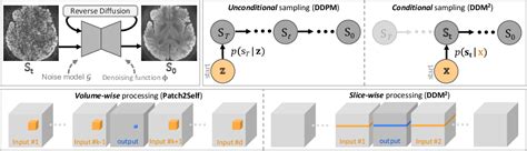 Figure 1 From Ddm2 Self Supervised Diffusion Mri Denoising With Generative Diffusion Models