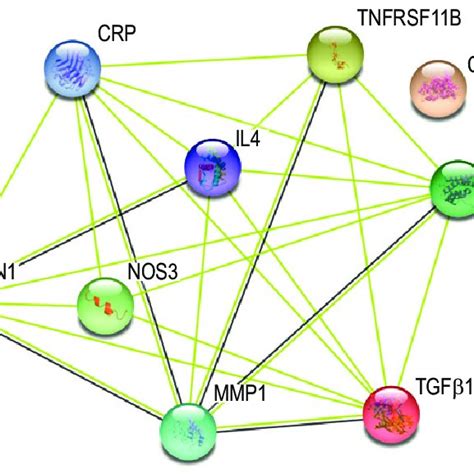 String Analysis Of Interactions Between Proteins Encoded By The Studied