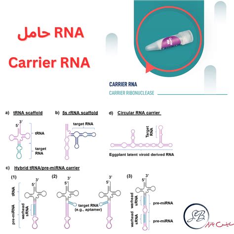 Rna حامل Carrier Rna ساینس بازار