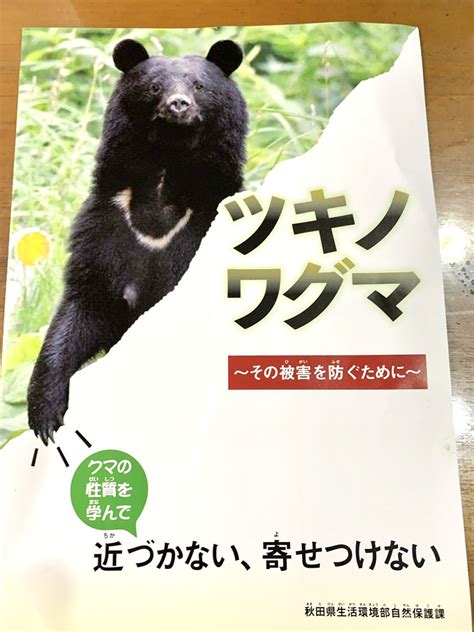 【秋田】住宅街にクマ 襲われた5人搬送 ばーど★