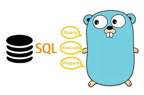 Query Vs Exec Vs Prepare In Golang Rlearngo