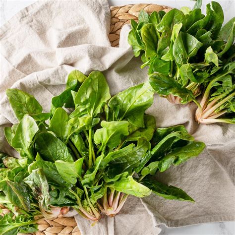 시금치 메가마트몰