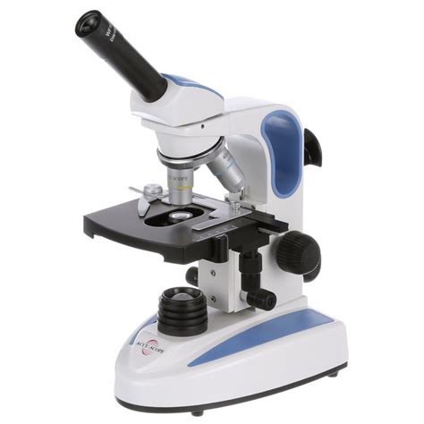 Parts Of A Compound Light Microscope Worksheet