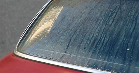 Saucy Readers Have Their Say On Cheeky Couple Caught Romping In Public Bath Chronicle