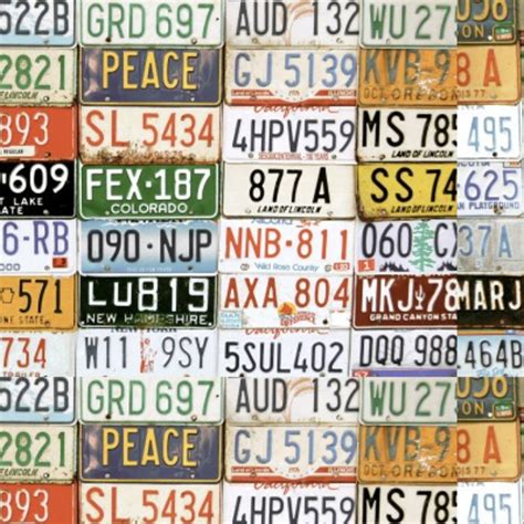 Labeled Licence Plates Dataset Kaggle