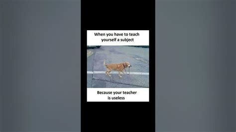 Programming Memes 402 Programming Programmingmemes Memes Coding Humor Youtube