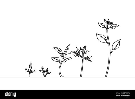 Potted Minimal Stock Vector Images Alamy