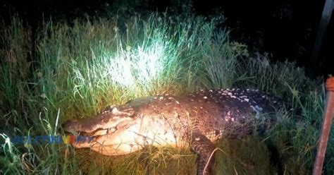 Hayat ‘pak Itam Berakhir Buletin Tv3 Malaysia