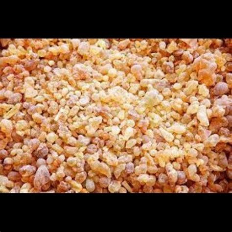 Resinoids In Kanpur रेजिनोइड्स कानपुर Uttar Pradesh Resinoids Myrrh Resinoid Price In Kanpur