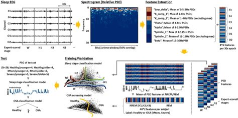 Frontiers Age Integrated Artificial Intelligence Framework For Sleep