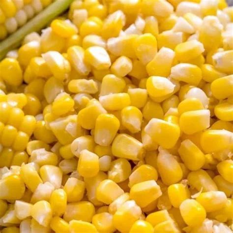 Frozen Sweet Corn Frozen Corn From Saharanpur