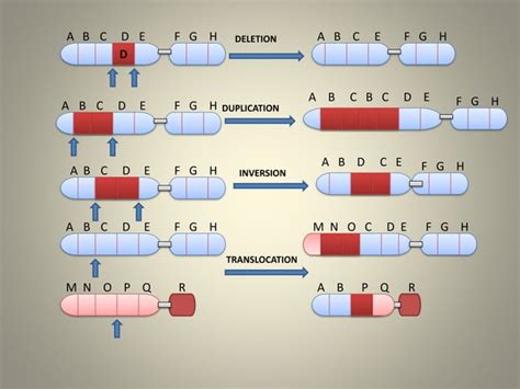 Genetic Polymorphism And Its Applications Pdf Genetic Polymorphism And Its Applications Pdf