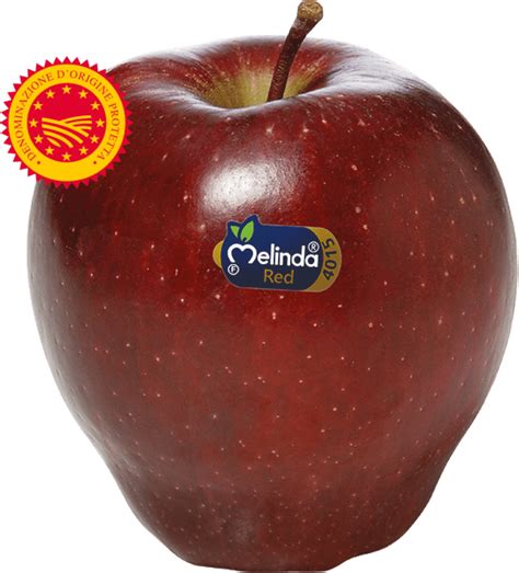 Mela Red Delicious Melinda Dop Della Val Di Non In Trentino