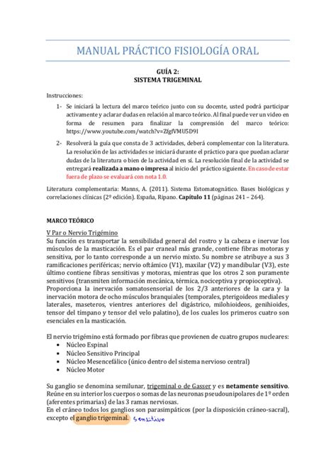 Guía 2 Sistema Trigeminal Pdf Neurociencia Cabeza Y Cuello Humanos