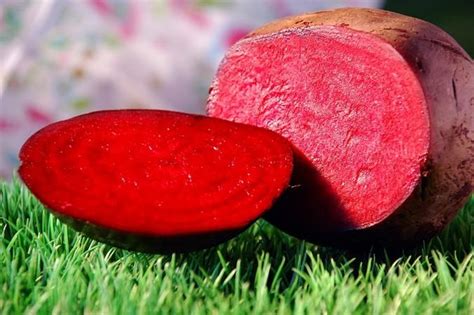 From Better Sex To Weight Loss These Are 7 Amazing Benefits Of Beetroot Ibtimes India