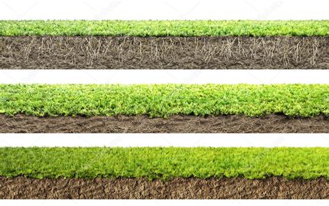 Grass With Roots And Soil Stock Photo Varuna