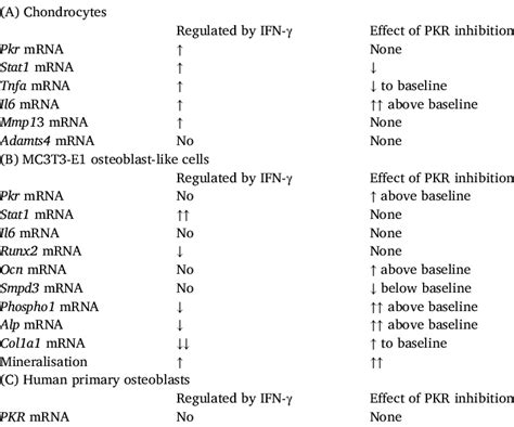 Summary Of Ifn Induced Effects Download Scientific Diagram