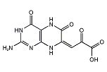 エリスロプテリンとは何？ わかりやすく解説 Weblio辞書