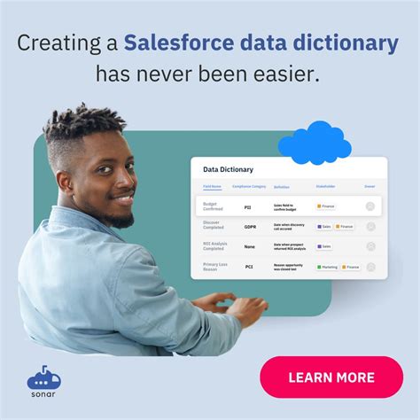 Sonar On Linkedin Data Dictionary For Salesforce Metadata Featuring Chatgpt