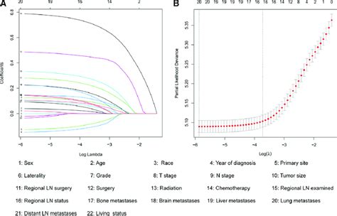 Feature Selection Using The Least Absolute Shrinkage And Selection