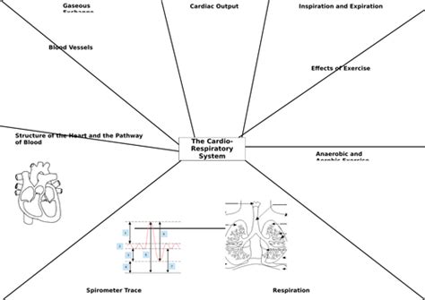 Revision Map Bundle Aqa Gcse Physical Education Teaching Resources
