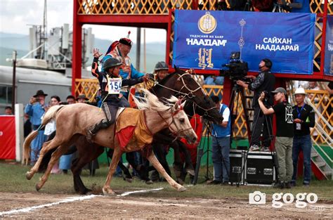 Хар шүдлэнг түрүүлсэн гэж шийдвэрлэжээ