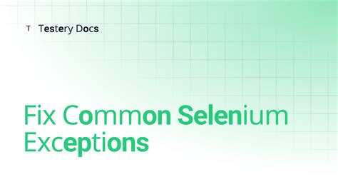Fix Common Selenium Exceptions Testery Docs