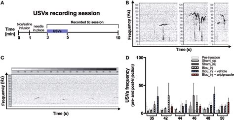 Ultrasonic Vocalizations A Experimental Design Of The Ultrasonic Download Scientific