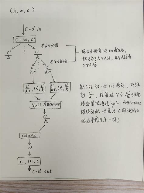 resnest：split attention networks 知乎
