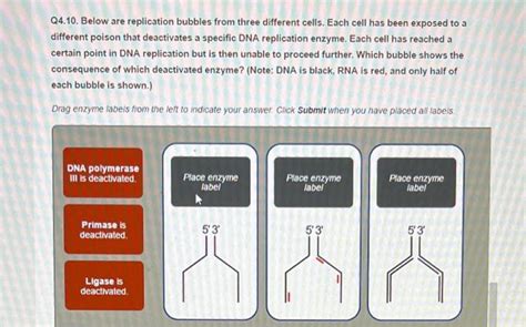 Solved Q4 10 Below Are Replication Bubbles From Three D