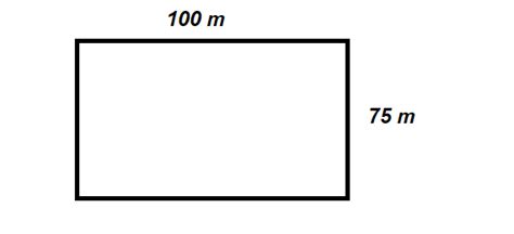 A Soccer Field Is Rectangular In Shape And Is 100 Meters