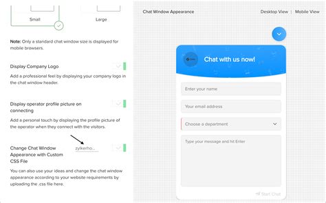 Custom CSS To Change The Chat Window Appearance