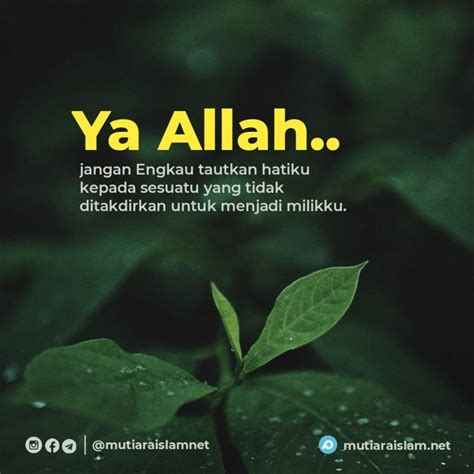 55 Kata Islami Tentang Cinta Dan Pernikahan Paling Manis Dan Romantis