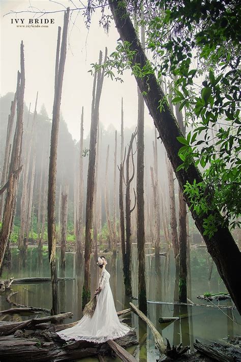 IVY BRIDE 個人変身写真 IVY BRIDE BLOG