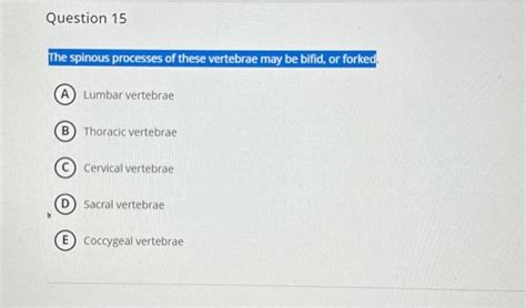Solved J She 8 The Spinous Processes Of These Vertebrae May